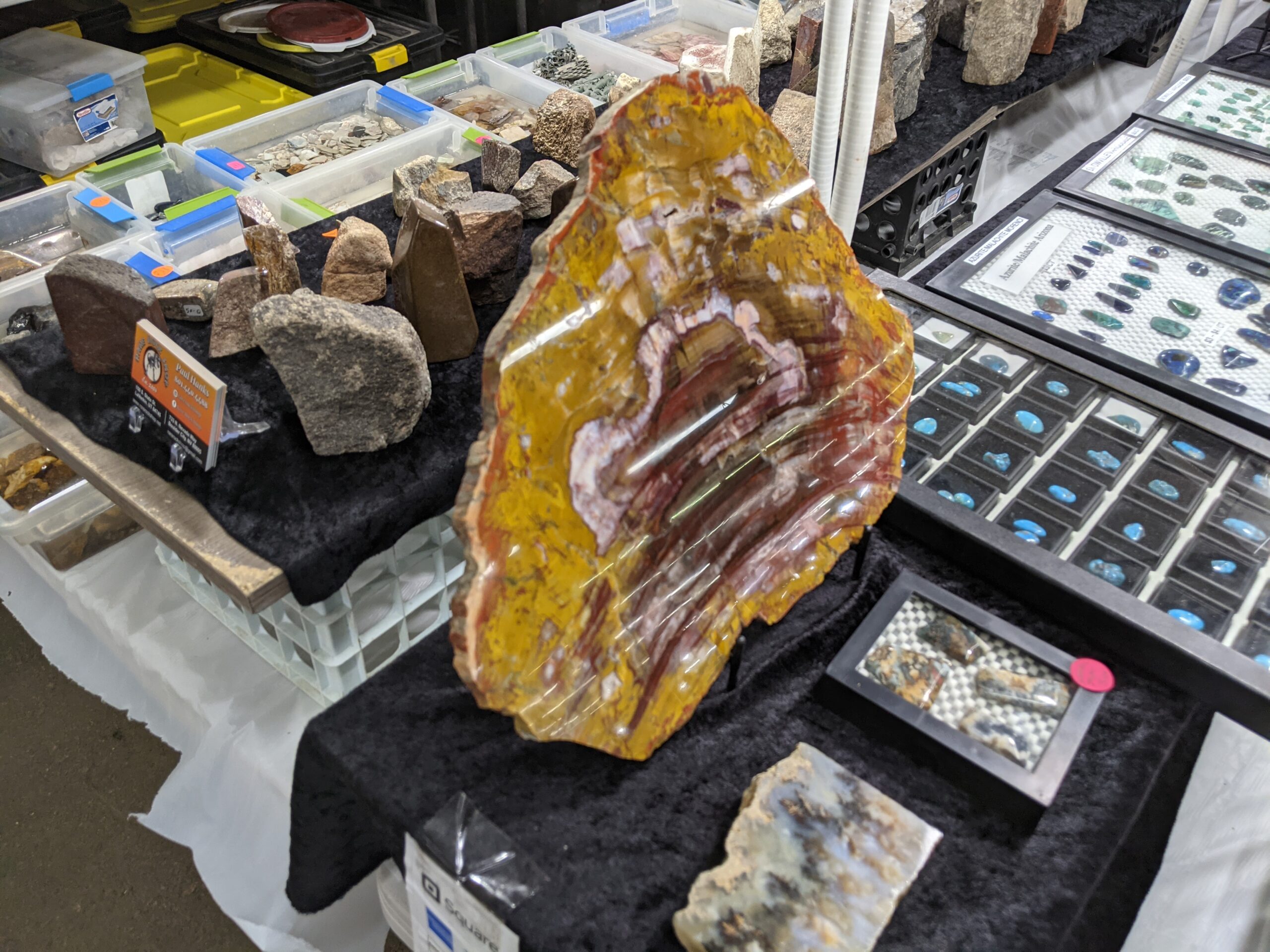 The Denver Gem Show - Hart Gem Shows
